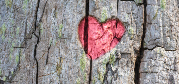 Freedom Fiction Journal – An eclectic mix of all flavours of genre fiction